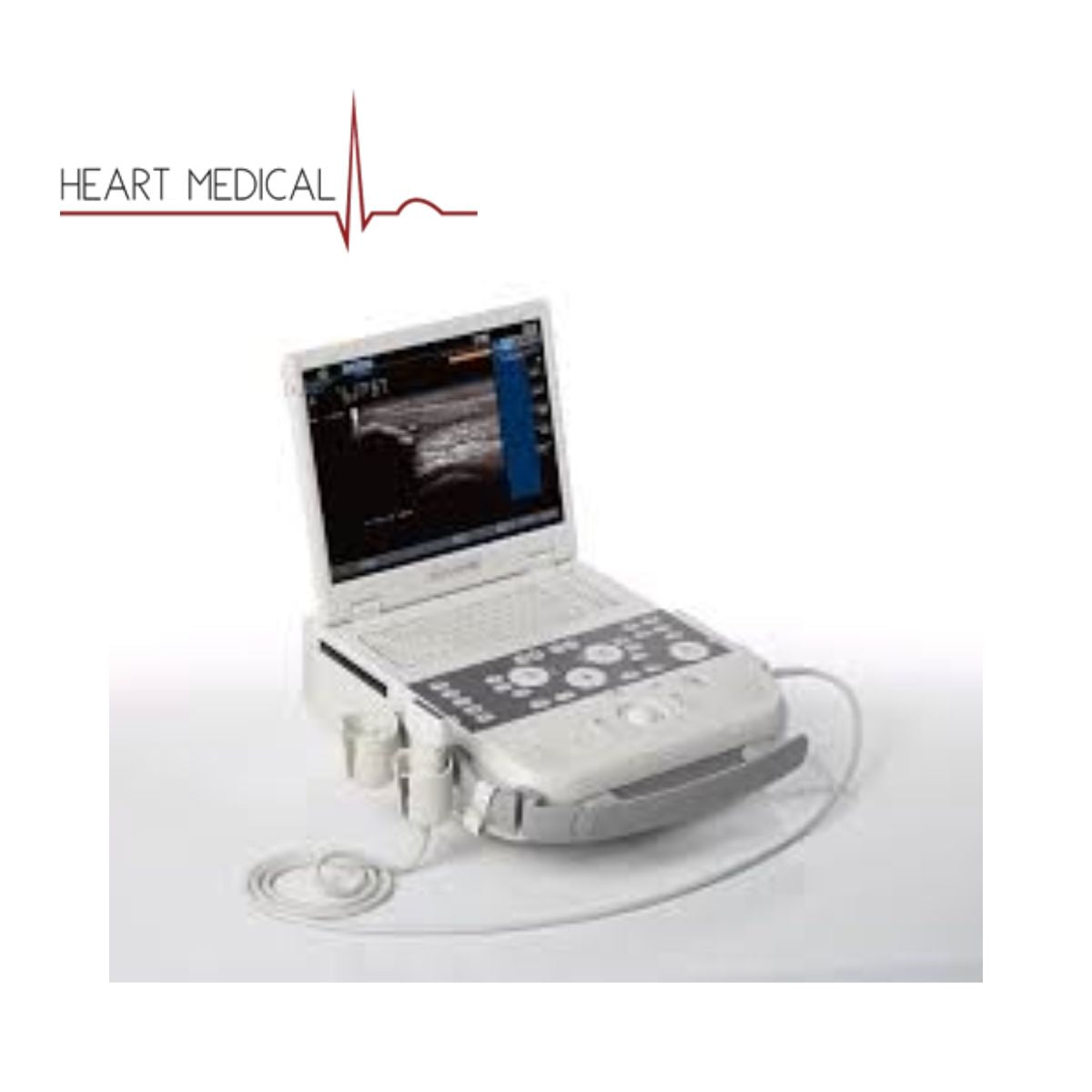 ACUSON P300™ Ultrasound System | Heart Medical